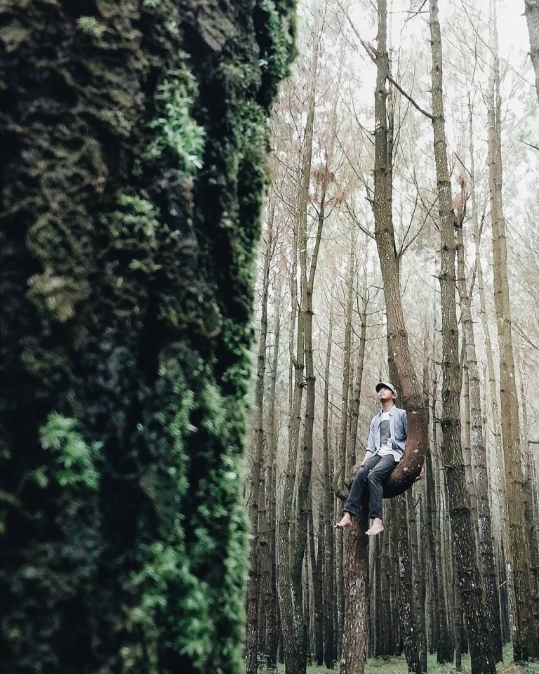 22 Wisata Di Semarang Yang Instagramable - LiburMulu.com