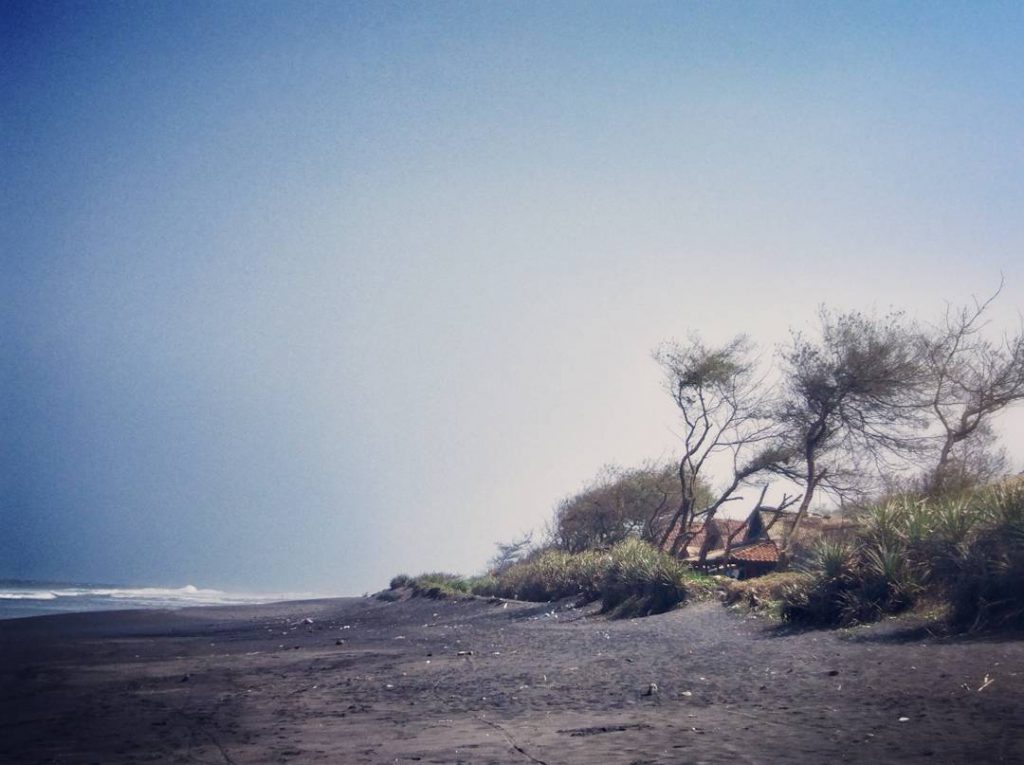 Liburan Seru di Pantai Pandansimo - Liburmulu.com